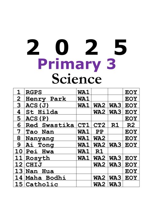 Primary 3 P3 Exam Papers and Test Papers (All Subjects soft copy ...